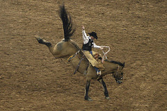 Bucking the Trend: The “Completed and Accepted Work Doctrine” Lives On ...